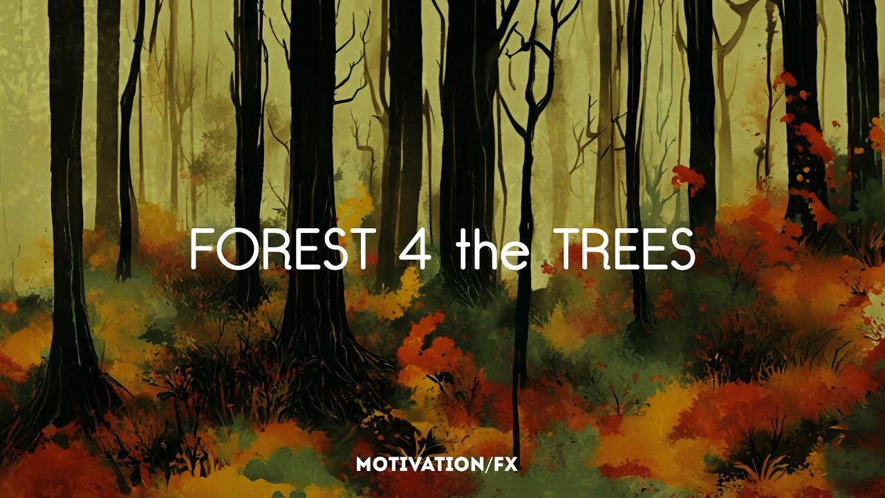 FOREST 4 the TREES | Visual Meditation | Take A Few Minutes To Relax ...