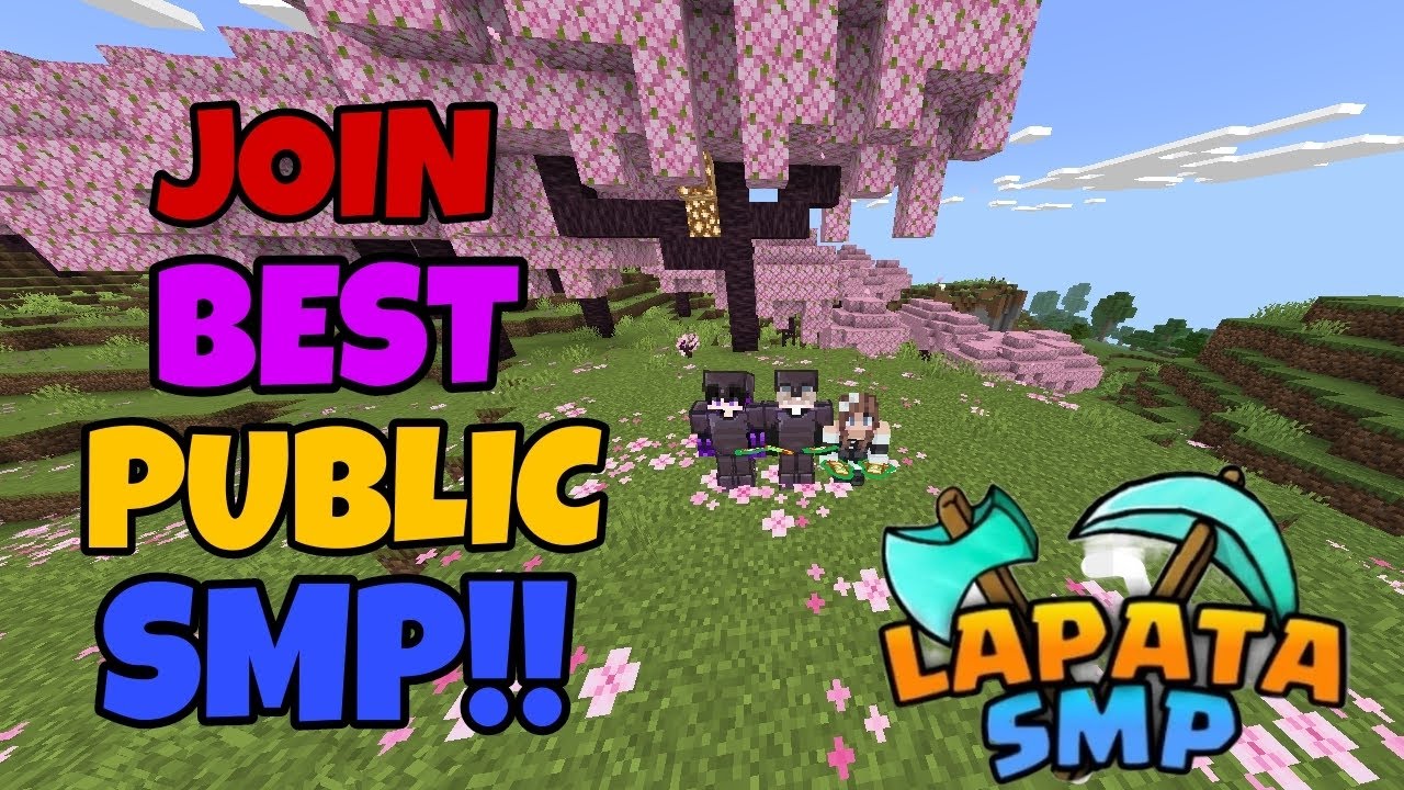 🥑 Brand New Public Lifesteal Smp Server For Minecraft🏅| Java/Pe/Pojav | 24/7 Online | Free To ...