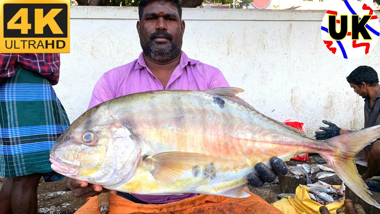 MINNAL RAJA FISH CUTTING | FISH CUTTING SKILLS | FISH CUTTING VIDEOS # ...