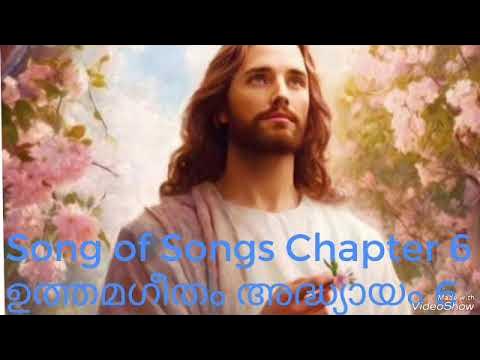 ഉത്തമഗീതം അദ്ധ്യായം 6/Song of Songs Chapter 6/POC Malayalam Bible Reading - YouTube