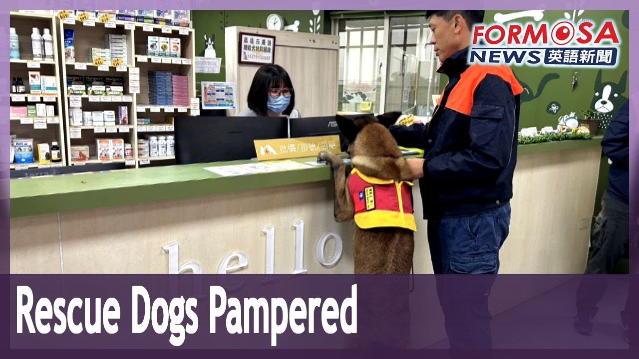 Kaohsiung mayor Chen rewards dogs on International Search and Rescue ...