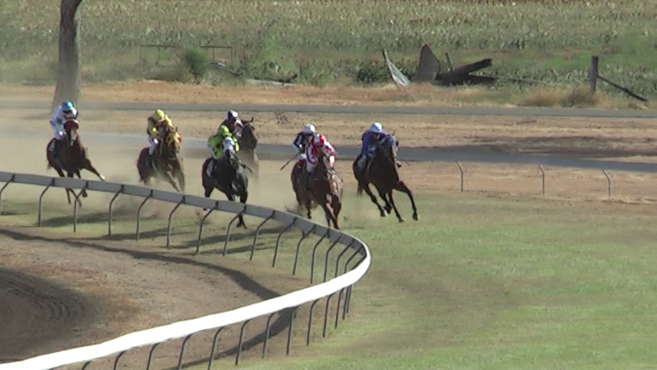 THANGOOL RACES 23rd February 2019 - YouTube