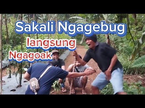 KOMEDI SUNDA#PART1 SAKALI NGAGEBUG LANGSUNG NGAGOAK@Kolotlobagaya - YouTube