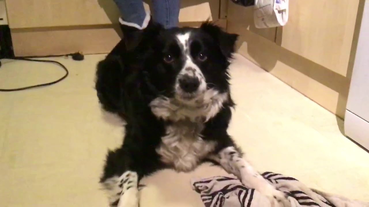 the daisy show season 1 episode 1 full episode - YouTube