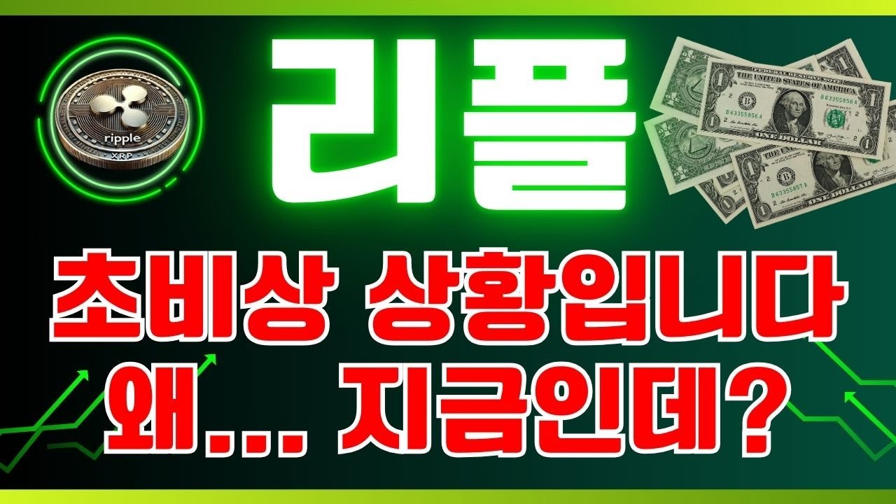 리플 리플본사 초비상 갑자기 왜xrp 리플 리플코인 리플전망 Youtube