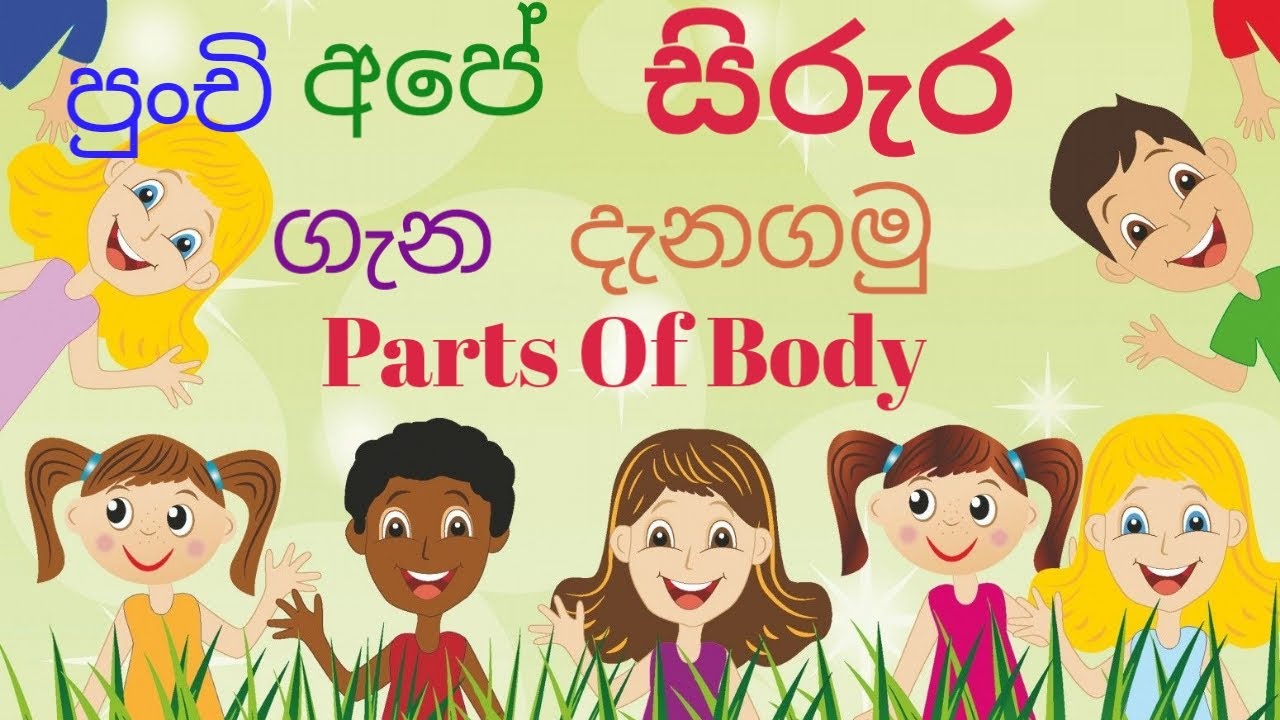 Parts of body for kids in Sinhala | ශරීරයේ කොටස් හදුනා ගනිමු - YouTube