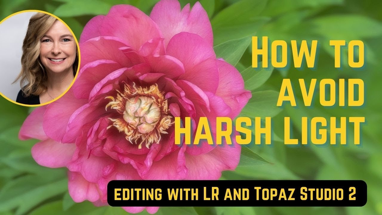 How to avoid harsh light in garden photography | Flower image edit ...