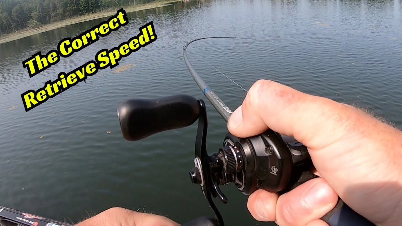 How To Choose The Correct Fishing Lure Retrieval Speed! Makes A Huge ...