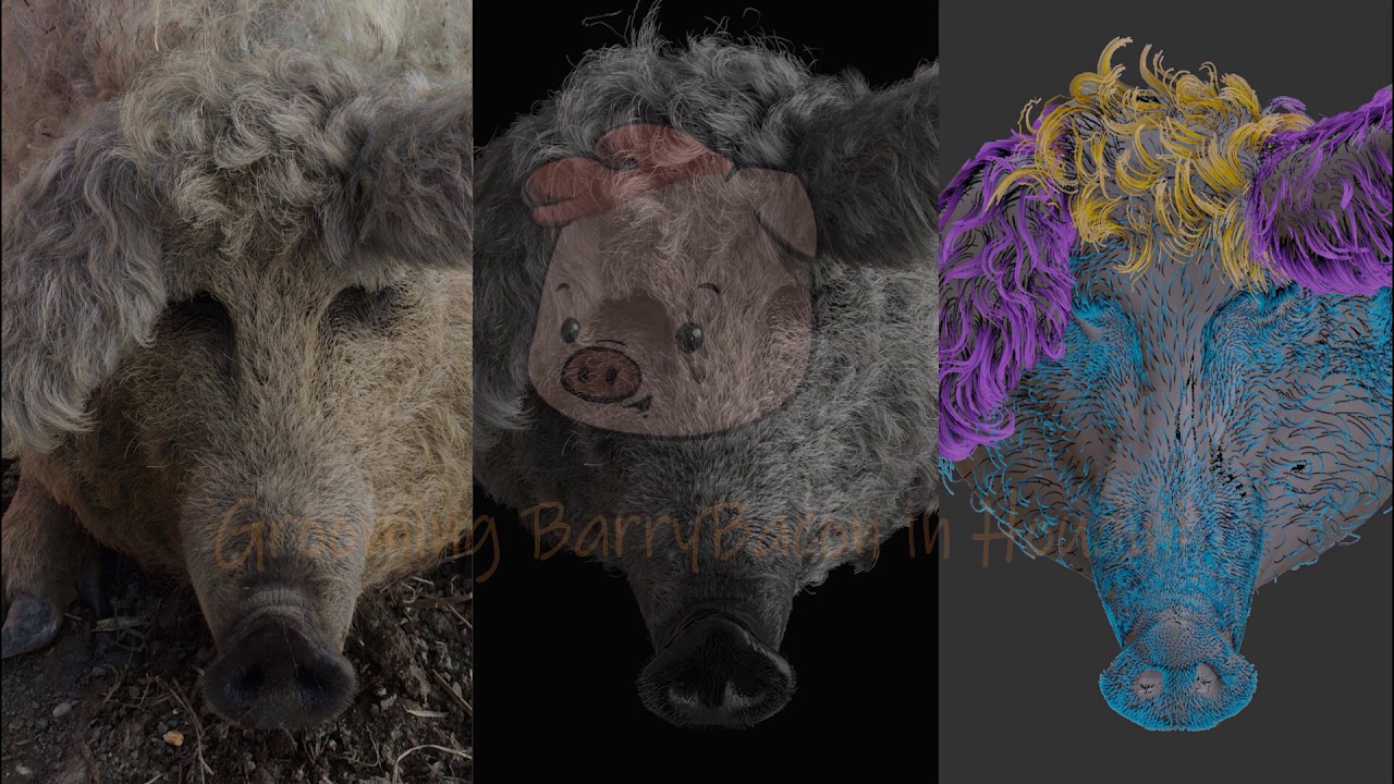 Trailer: Grooming Barry Bacon by Gabriela Salmeron - YouTube