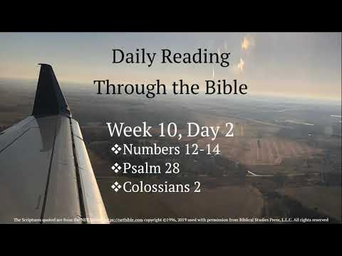 Daily Bible Week 10 Day 2 - YouTube