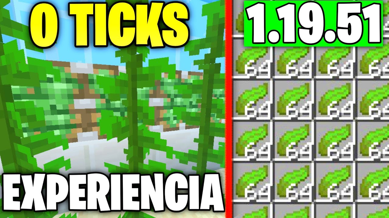 ⭐ GRANJA de ALGAS, XP y POLVO DE HUESO a 0 TICKS en 2023 ⭐ | MINECRAFT ...