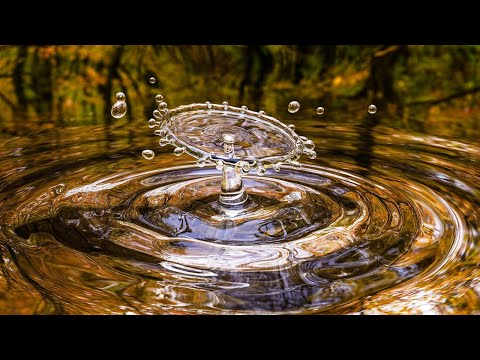 Nature WhatsApp Status Video with Relaxing Music|Beautiful Nature Love Song Background 2022|4K