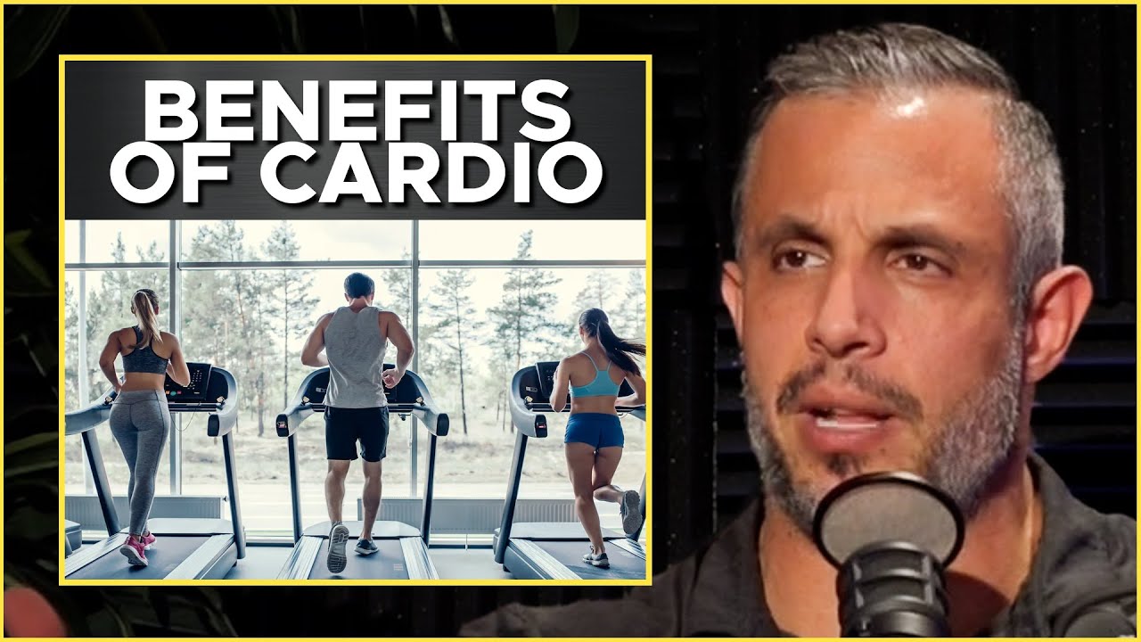 How To Use CARDIO In Your Workout Routine - YouTube
