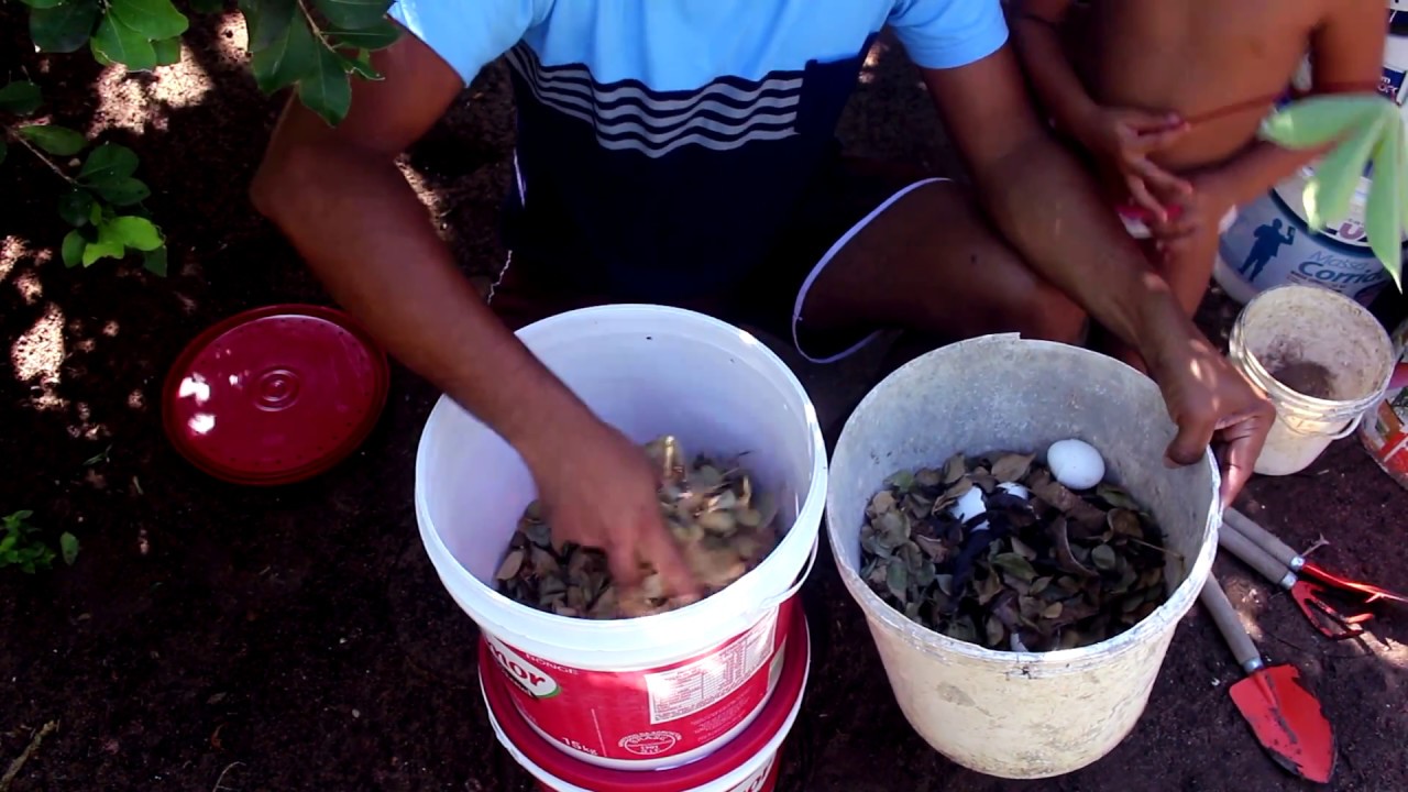 COMO FAZER COMPOSTEIRA CASEIRA COM BALDES FÁCIL. - YouTube