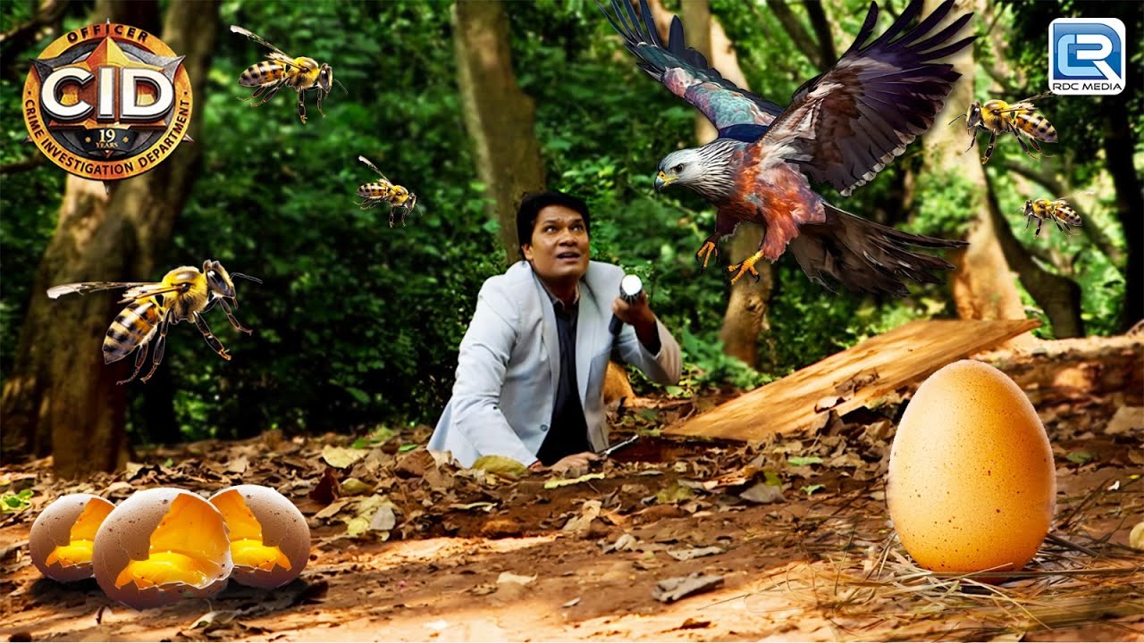 CID Team ने किया एक Tragic Case Discover | CID | Latest Full Episode ...