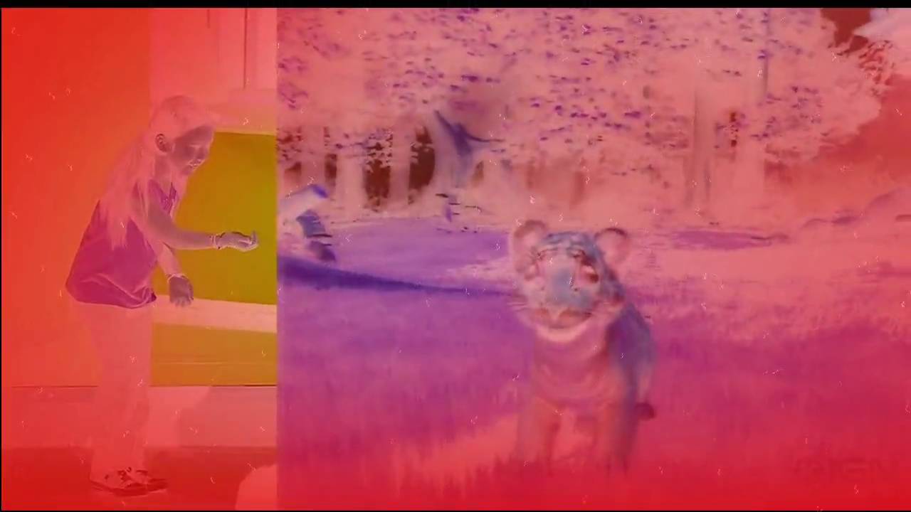 Microsoft Kinectimals E3 presentation UNEDITED - YouTube