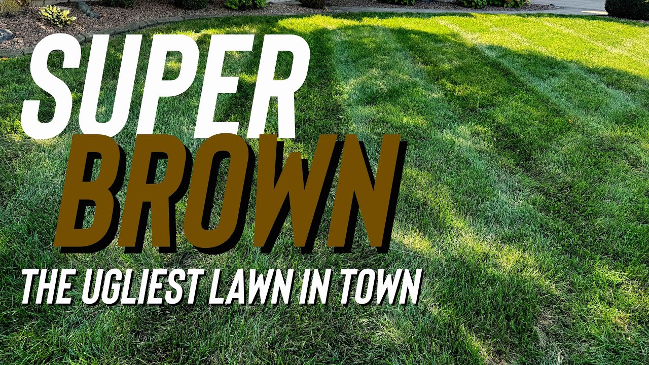 Super Brown / Hired Company Still Not Green! WTD? - YouTube