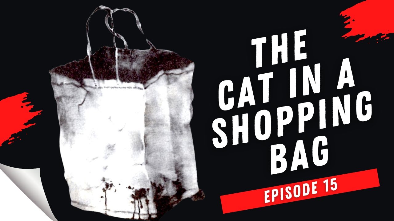 The Cat in a Shopping Bag - More Scary Stories To Tell in the Dark ...