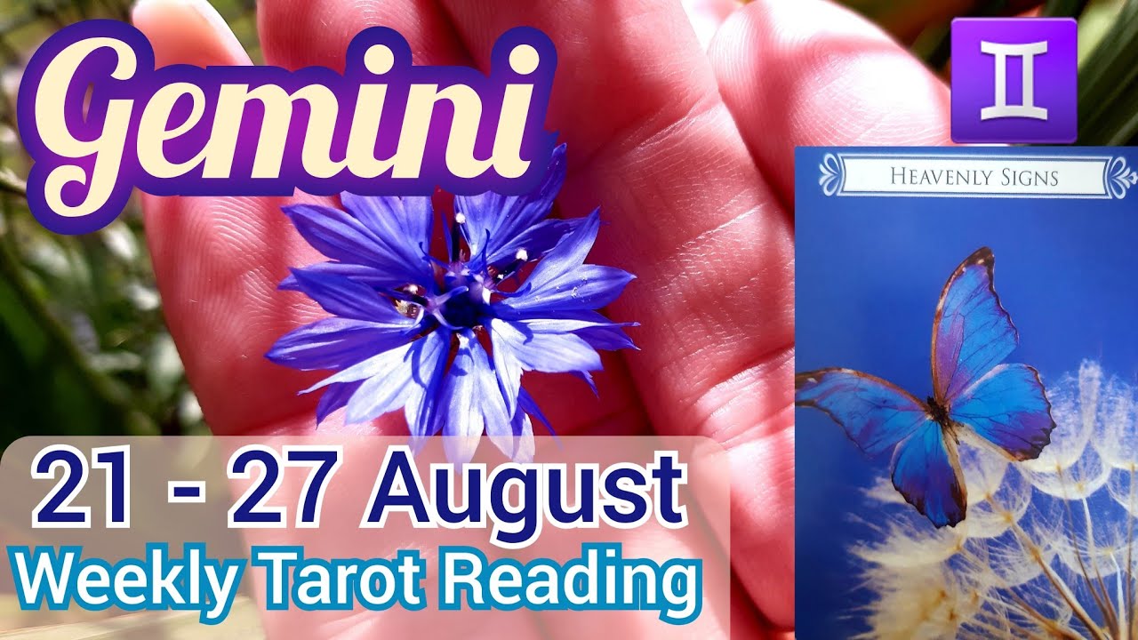 🌻BINGO! Win-Win! Follow this PATH! 🔮GEMINI 🔮21 - 27 August 2023 Weekly ...
