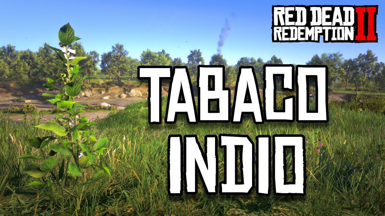 Ubicación Tabaco Indio en Lemoyne | Red Dead Redemption 2 - YouTube
