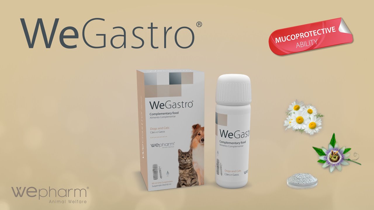 Wepharm | WeGastro - Gastric Protection and Relief - YouTube