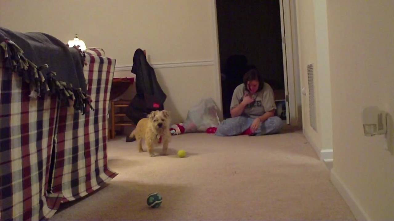 Baxter test - YouTube