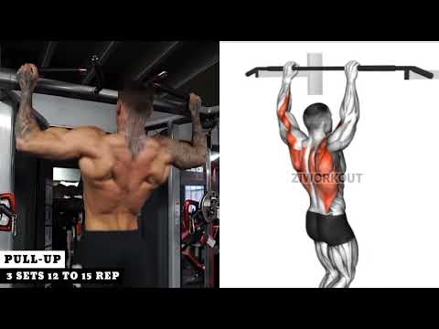 Beast Mode Back Workout: Gym Exercises for Mass and Definition! - YouTube