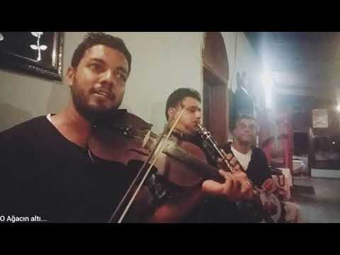 Kemancı Coşar (O ağacın altı)
