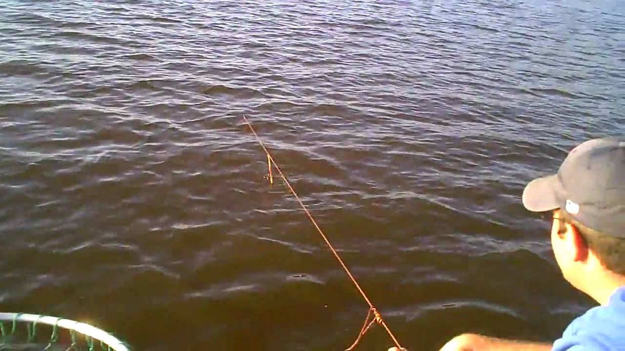 Trot Line 3 - YouTube