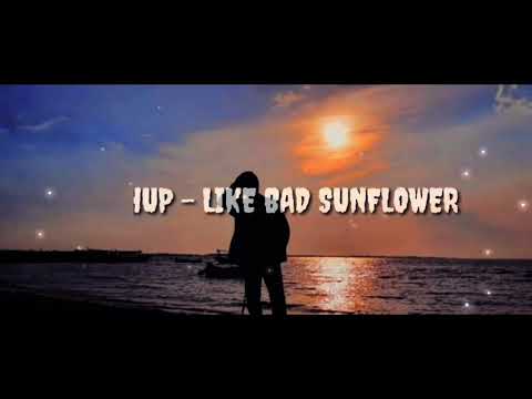 Lyrics |"Bad Sunflower" | Feat. Imagine Dragons, Post Malone, Lauv ...