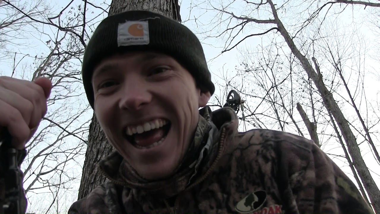 Public Land Bow Hunting Bobcat kill head shot - YouTube