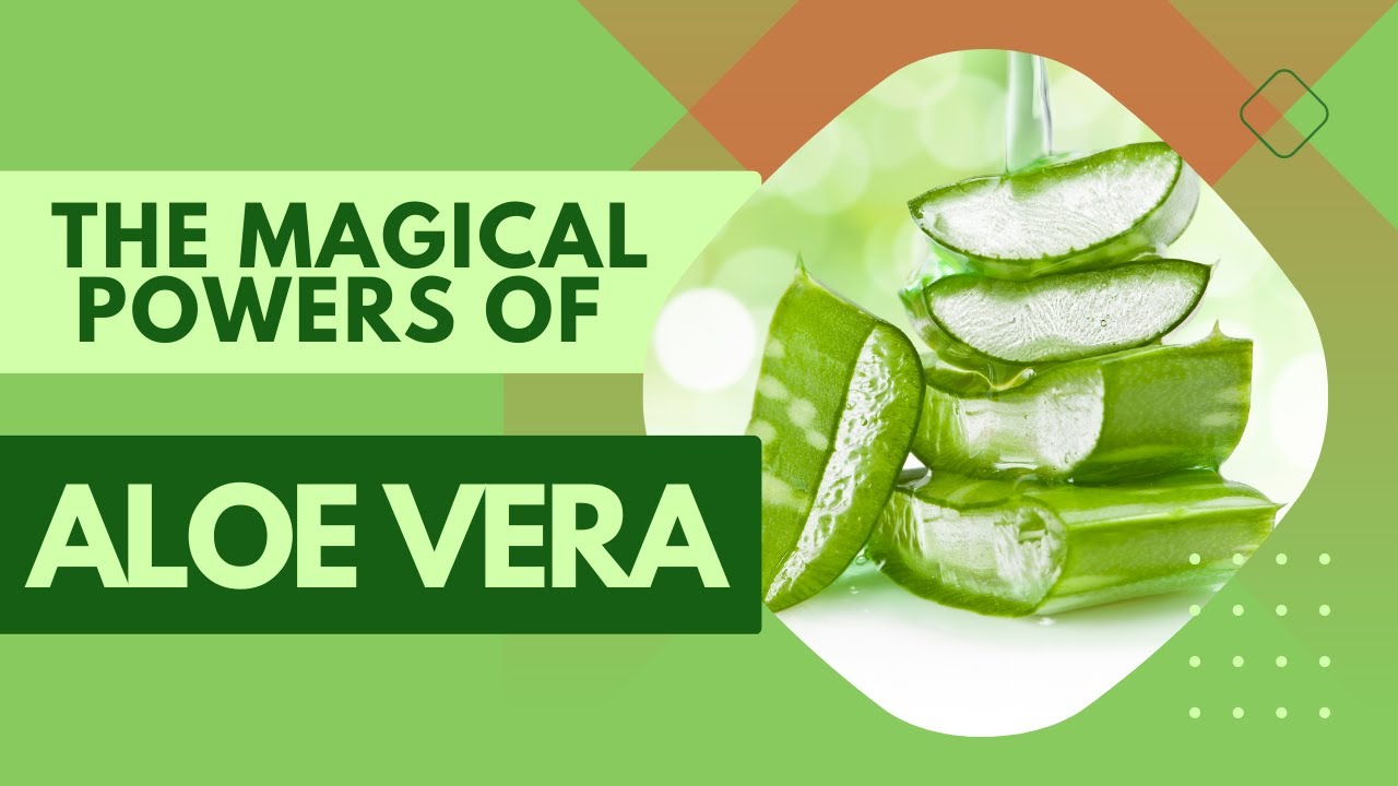 The Magical Powers of Aloe Vera - Benefits, Uses and Precautions - YouTube