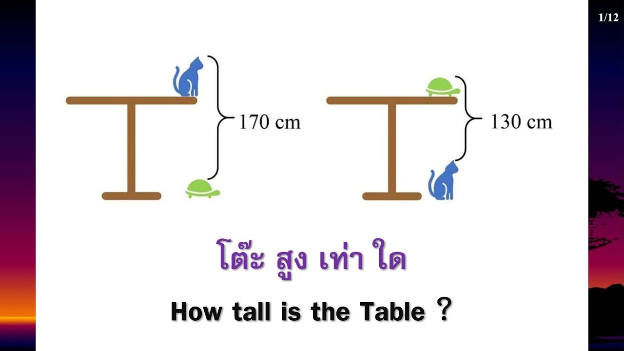 Clip 1090 : Cat turtle table, How tall is the table ? โต๊ะสูงเท่าไร ...