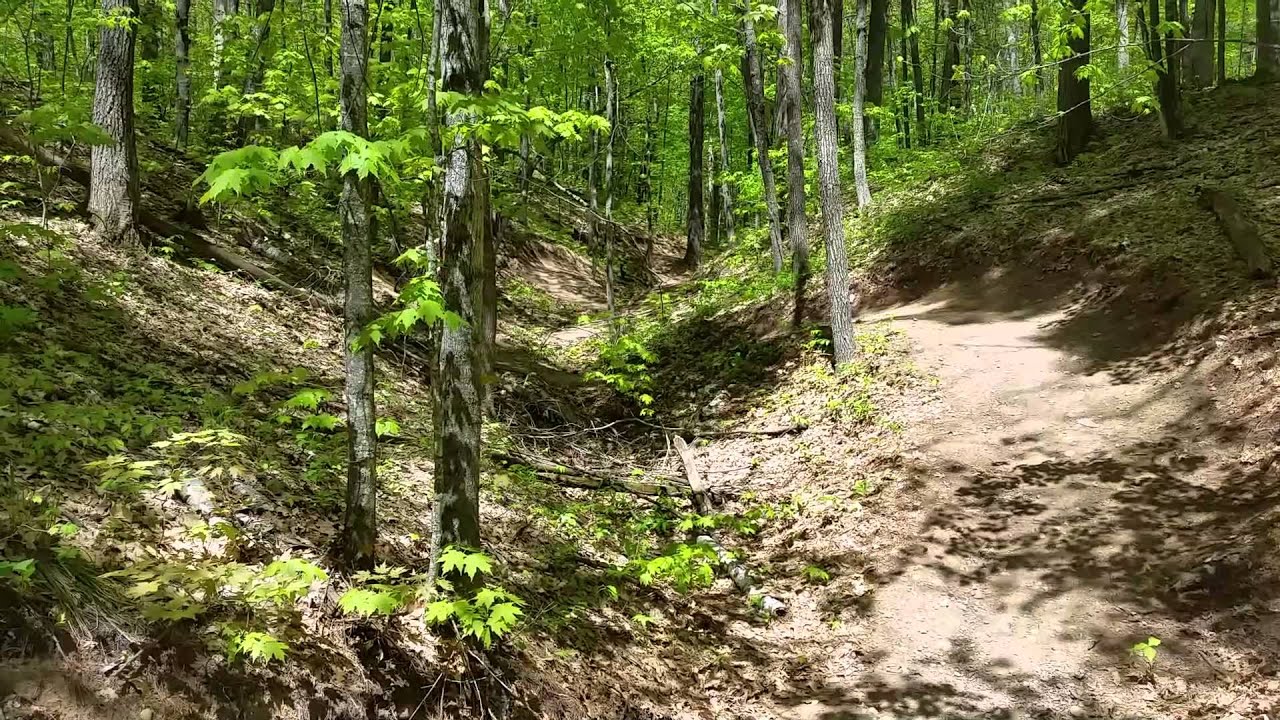 CAMBA Gravity Cavity 1 - YouTube