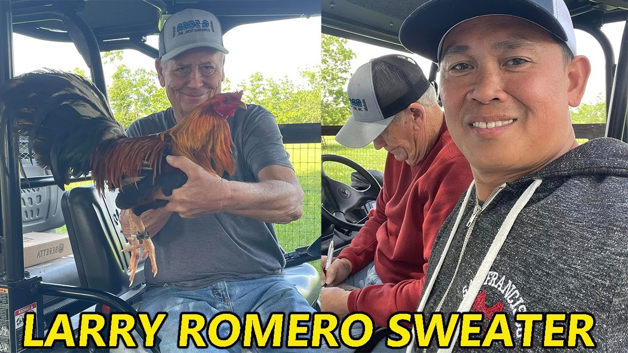 Larry Romero Raptor Sweater Yellow Leg Hatch Stuart - Beautiful Show ...