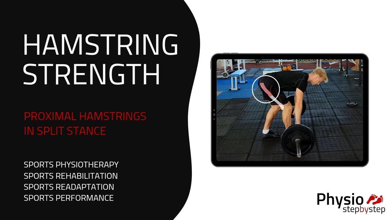 HAMSTRING STRENGTH - Proximal Hamstrings in Split Stance with Barbell (784) - YouTube