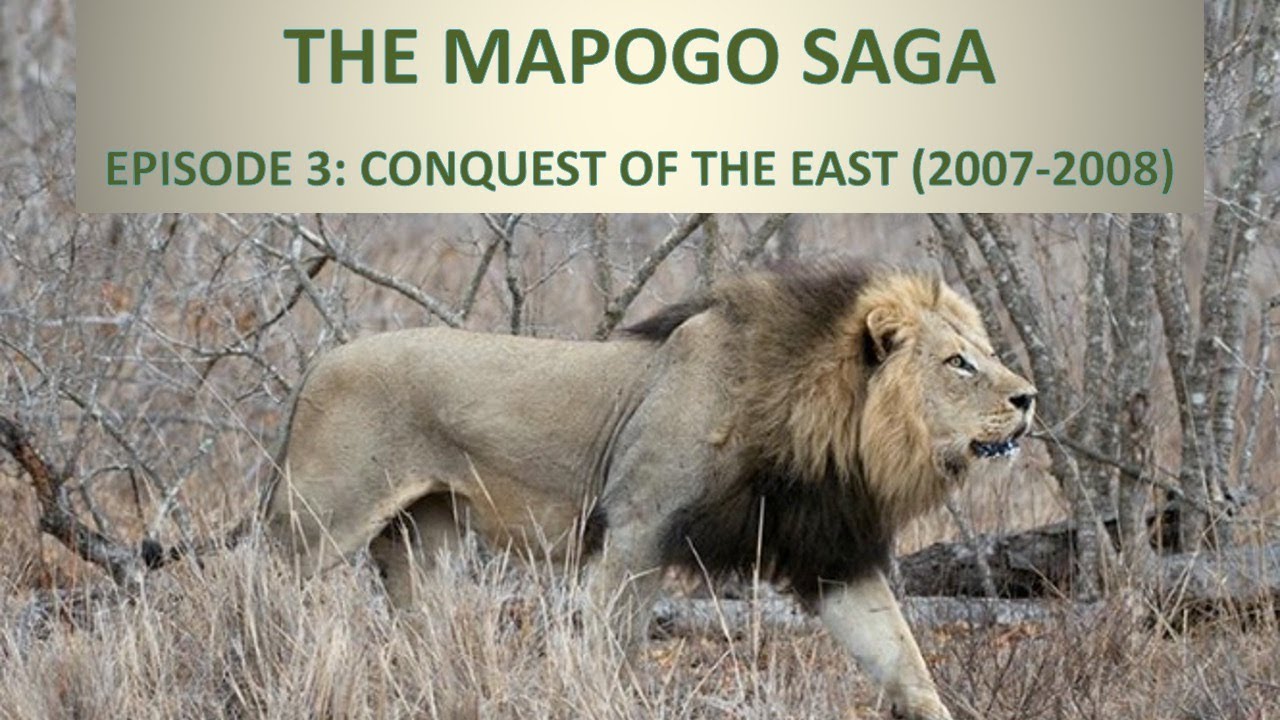 THE MAPOGO SAGA - Episode 3 | CONQUEST OF THE EAST (2007-2008) - YouTube