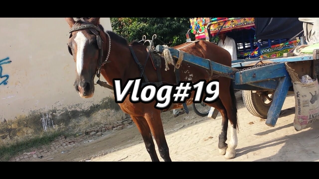 Vlog #19 |Faran Ahmad official - YouTube