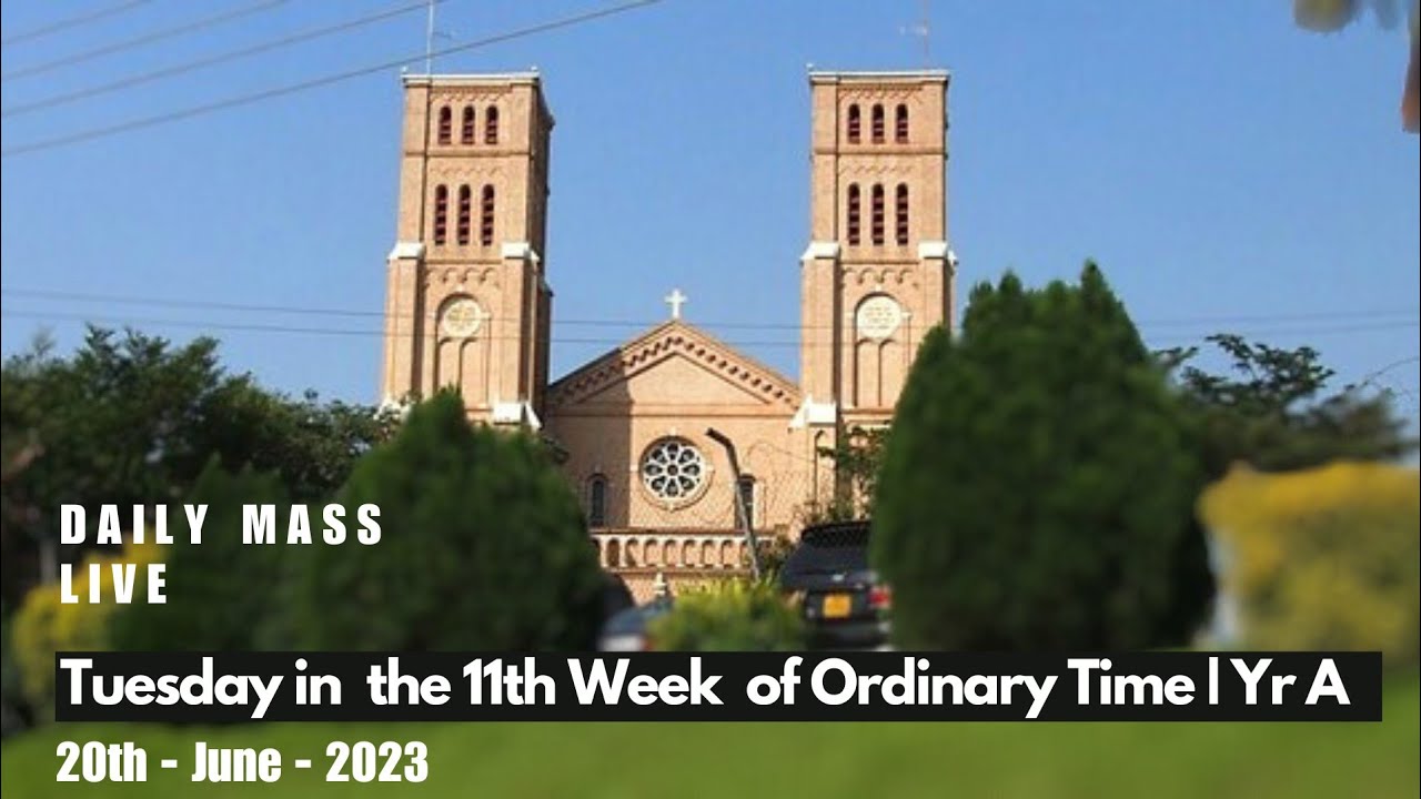 Tuesday in the 11th Week of Ordinary Time | Yr A | 20th-June-2023 - YouTube