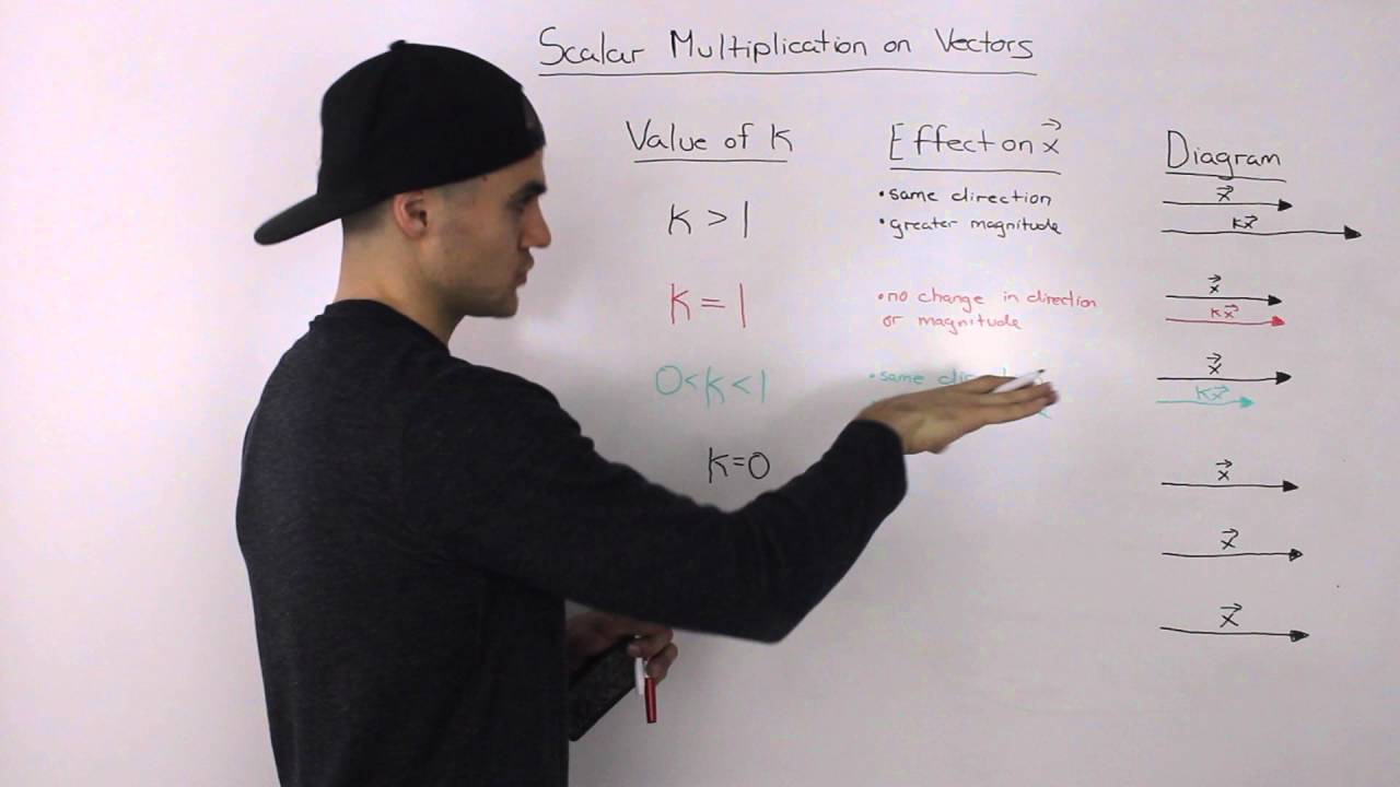 effects of scalar multiplication on a vector - useful reference tool ...
