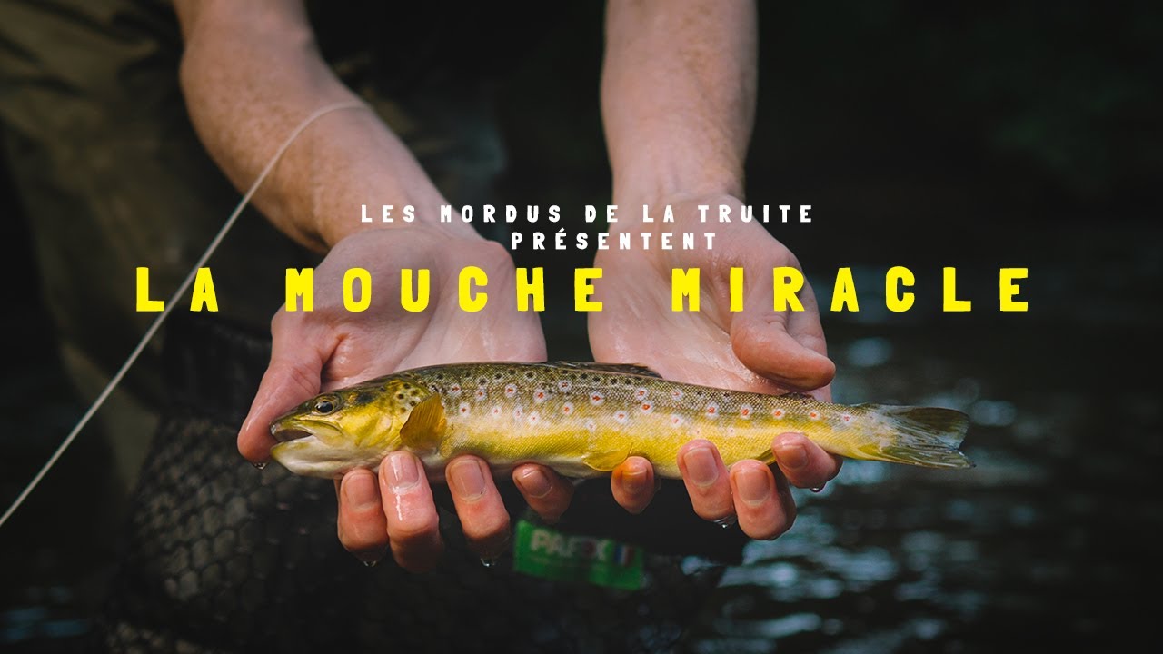 La MOUCHE miracle pour LES BELLES TRUITES - YouTube