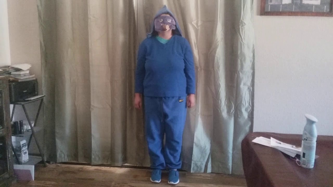Ahoyhoy! My Homemade "Sonic the Hedgehog" Movie Covid-19/Cosplay Mask ...