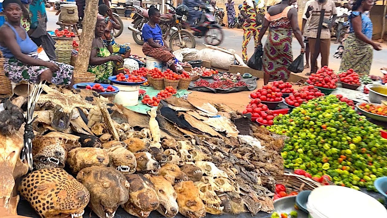 Anfoin Rural Organic African Outdoor Market In West Africa - Cost Of ...
