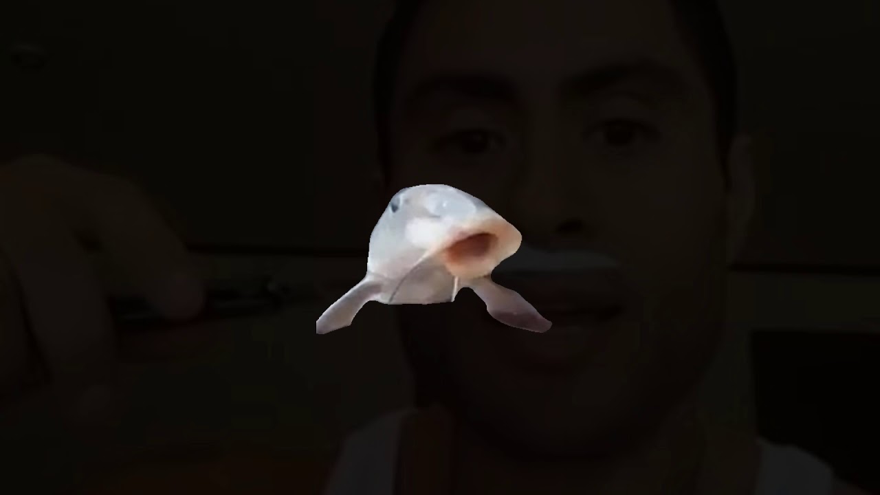 autistic fish - YouTube