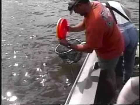 Jug fishing Lake Of The Ozarks 2009 - YouTube