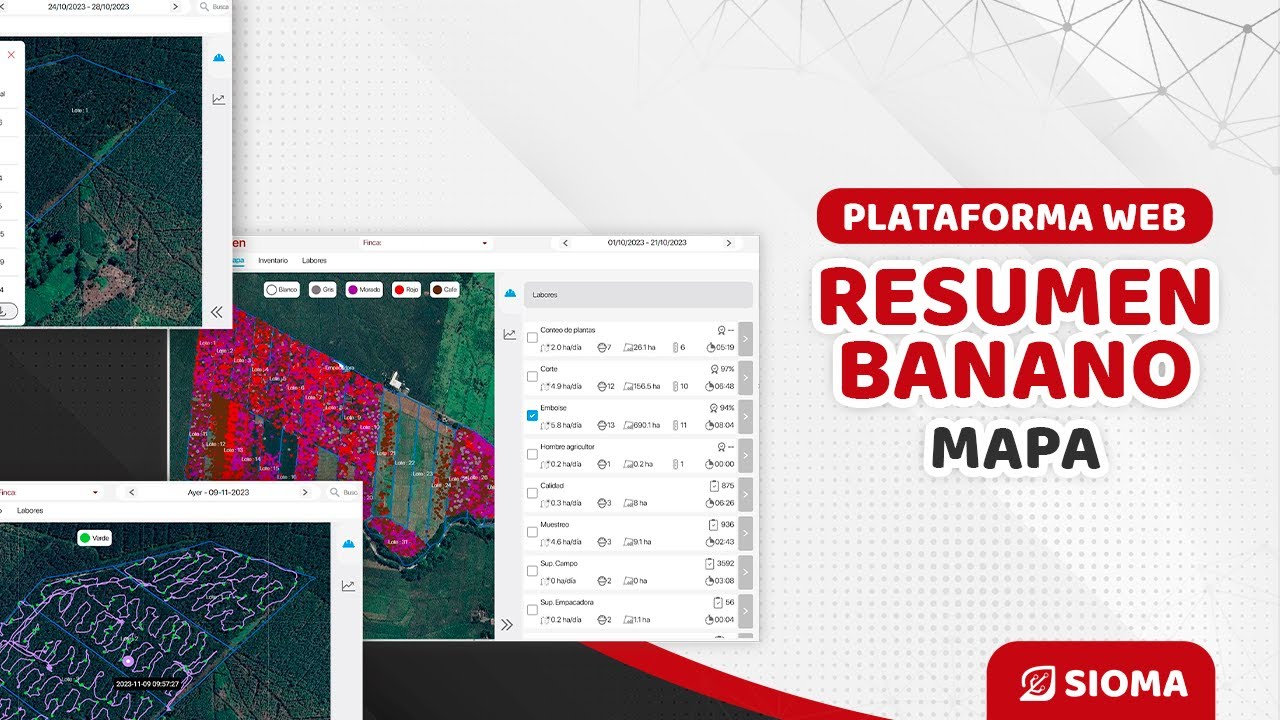SIOMA WEB Banano: Resumen, Mapa - YouTube