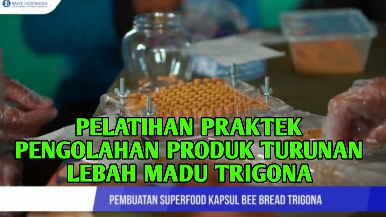PELATIHAN PRAKTEK PENGOLAHAN PRODUK TURUNAN LEBAH MADU TRIGONA - YouTube