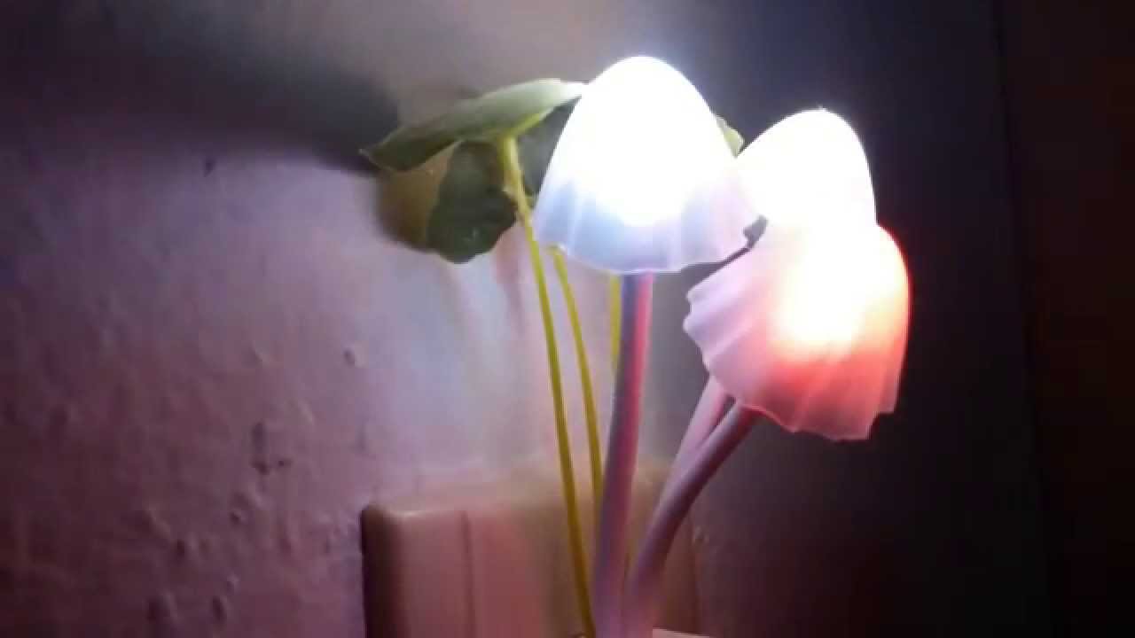 Light Sensitive LED Color-Changing Mushroom Night Light - YouTube
