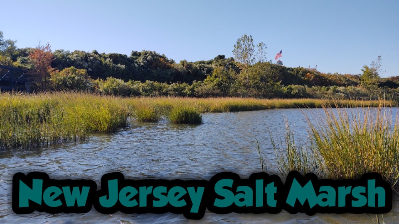Microfishing a Northern New Jersey Salt Marsh - YouTube