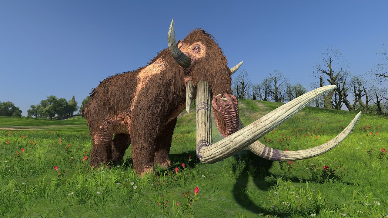 Feral Mammoth Animations | Total War Warhammer 3 - YouTube